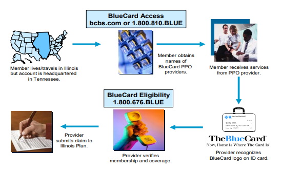 BlueCard Program from Blue Cross Blue Shield - Best Updates